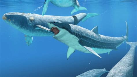 Palaeos La Historia De La Vida En La Tierra