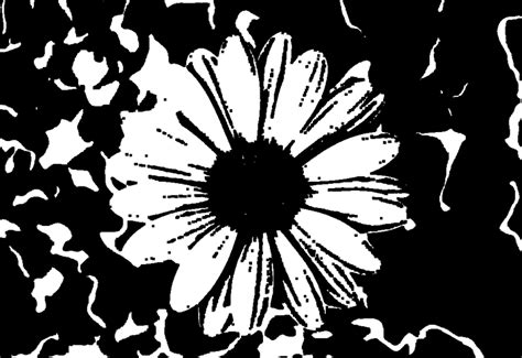 Binary Image GeeksforGeeks