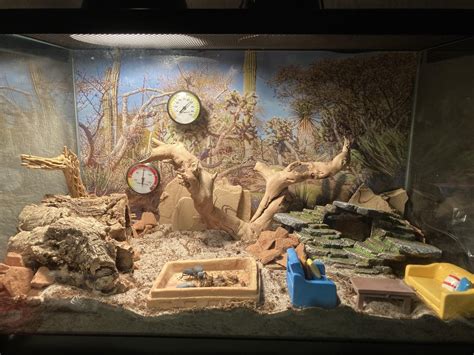 First Tank Layout Vs Current Rbdfb