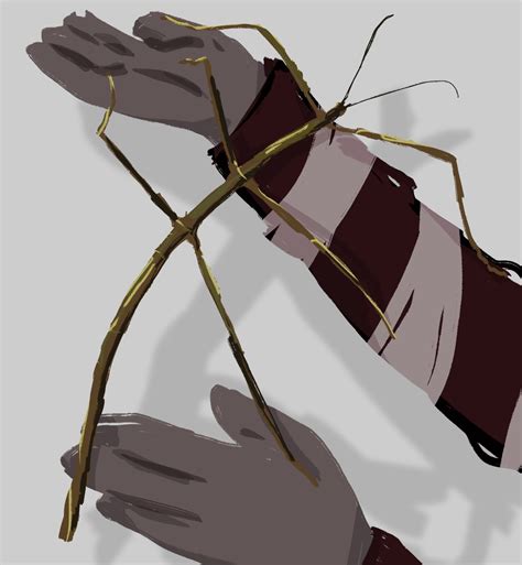 Iniquitous Lepidopterist On Tumblr