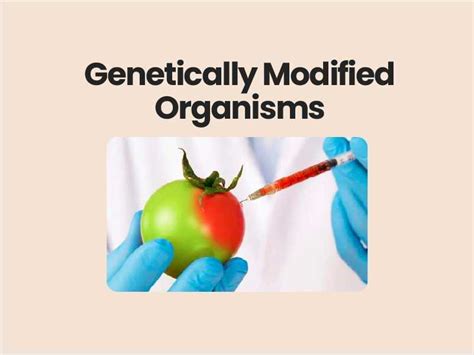 Methods Of Detection Of Genetically Modified Organisms At Natasha Cain Blog