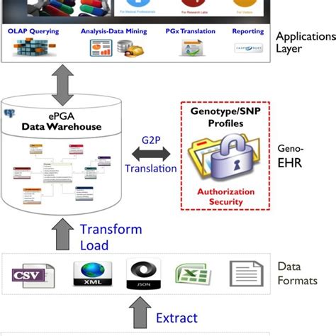 Reference Layered Architecture Of The Electronic Pgx Assistant Download Scientific Diagram
