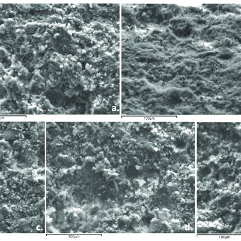 Sem Micrographs Of Coatings Microstructure By Using High Magnification