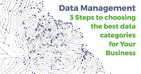 Data Management 3 Steps To Choosing The Best Data Categories For Your Business