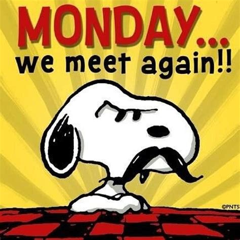 Grumpy Monday Cartoons