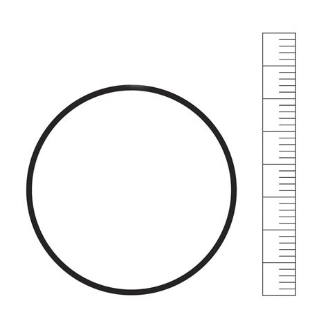 Anillo Pacífica Australa Anillo Pacífica Australa
