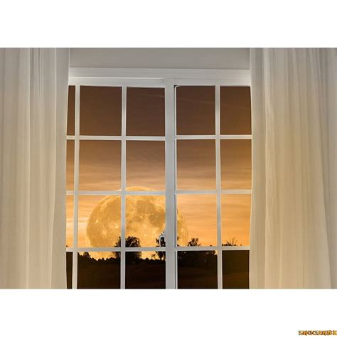 Classic Lady Chapel Empty Room Photography Backdrops Props Ration