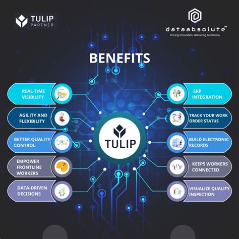 Lets Delve Into The Remarkable Benefits Of Tulip Interfaces