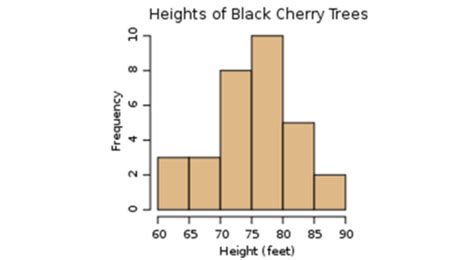 Exam 1 Chapter 8 Flashcards Quizlet