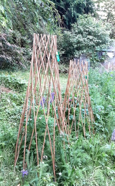 Wood Expanding Trellis Designer Review And Real Photo