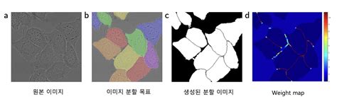 논문 리뷰 U Net Convolutional Networks For Biomedical Image Segmentation