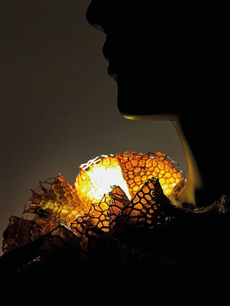 Bacterial Brickbats Knit Textile Collection Sets Bacterial Cellulose As