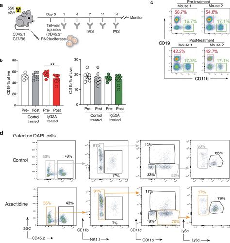 Rn2 Aml Model For U5 Snrnp200 Antibody Treatment And Assessment Of Download Scientific Diagram