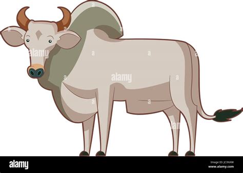 Zebu Cow Stock Vector Images Alamy