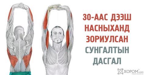 30 аас дээш насныханд зориулсан сунгалтын дасгал