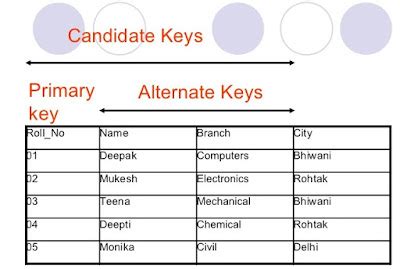 Difference Between Primary Key And Foreign Key The Crazy