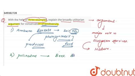 With The Help Of Three Examples Explain The Broadly Utilitarian