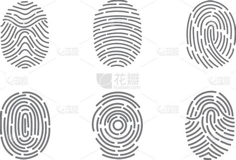 指纹矢量图标设置插图孤立在白色背景上