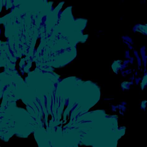 Ch33rfulln3ss 143 The Pda Document Files Wiki Fandom