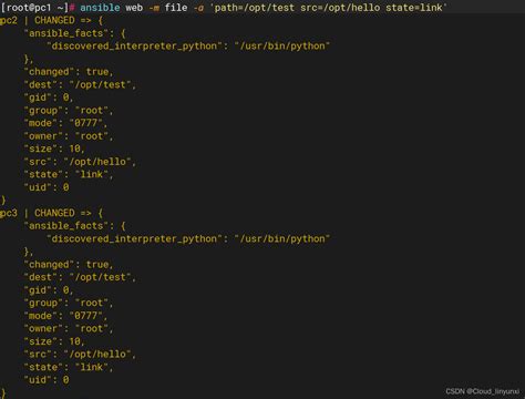 ansible 常用模块详解 ansible ping csdn博客