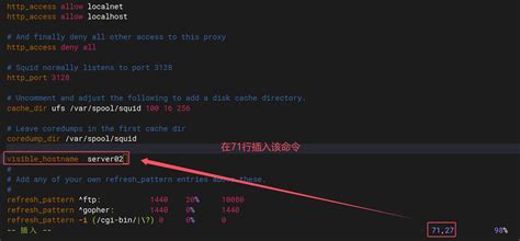 配置与管理代理服务器squid 配置 Dnf 代理 Csdn博客 配置与管理代理服务器squid 配置 Dnf 代理 Csdn博客