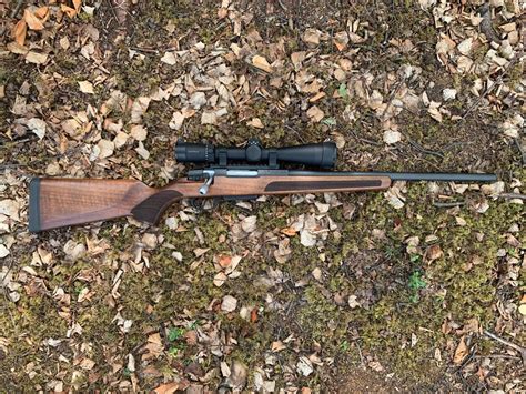 Stevens 334 Walnut Review Outdoor Life