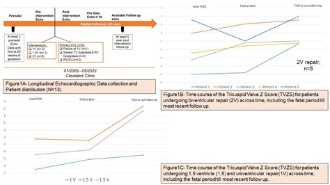 Incorporating Fetal Echo Metrics Into The Clinical Decision Algorithm For Pulmonary Atresia With