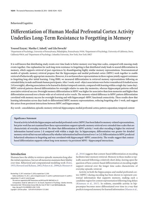 Pdf Differentiation Of Human Medial Prefrontal Cortex Activity