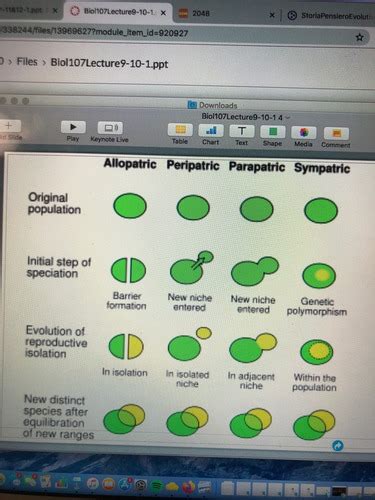 Bio Quiz Flashcards Quizlet