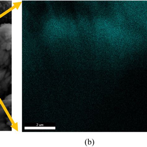 A Sem Image Of The Surface Structure Observed With 52°sample Tilt