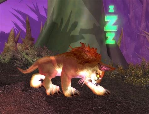 Hibernate Spell World Of Warcraft