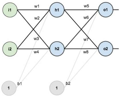 Preparation For Backpropagation Ii Backward Propagation Download Scientific Diagram
