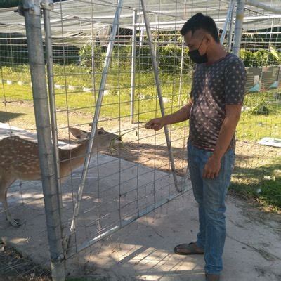 Cursed Ellie On Twitter Happy Sunday Https T Co Czucive Fl Twitter