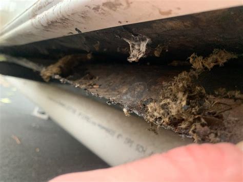 See Comments For Description Rrpod