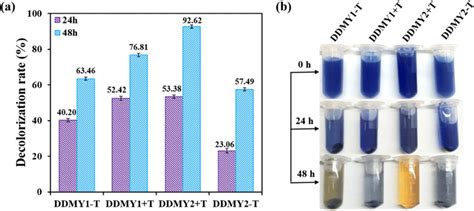 Comparison Of Decolorization Rates A And Decolorization Performance