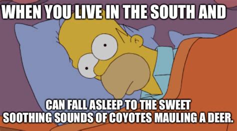 A Peaceful Lullaby Rmemes