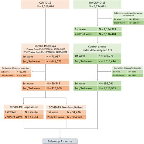 Flow Chart Of Cohort Construction Download Scientific Diagram