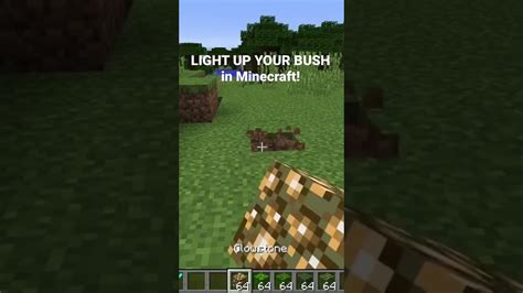 Light Up Your Bush In Minecraft Youtube