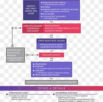 Bradicardia png imágenes PNGWing