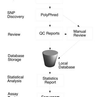 SNP Analysis Workflow The DNA Sequence Output Was Analyzed Using Download Scientific Diagram