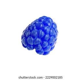 30 408 Blue Raspberry Isolated Images Stock Photos Vectors Shutterstock