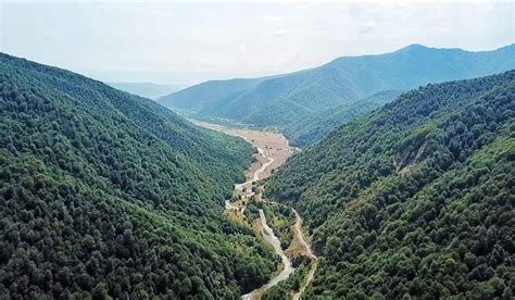 პანკისი ქემფინგი თელავი