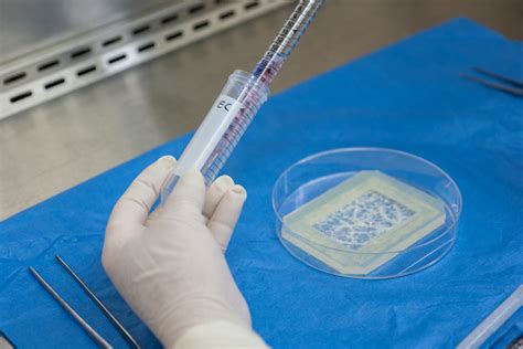 Lab Grown Body Parts Possible With Tissue Engineering LongIsland Com