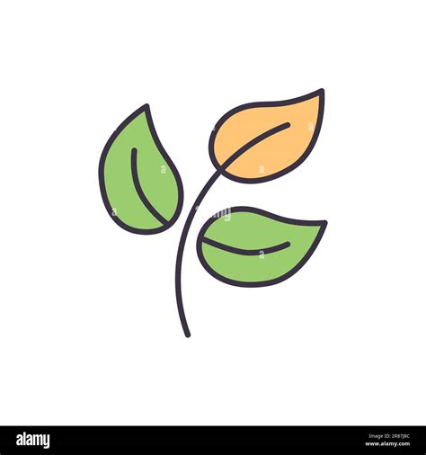 Herbal Medicin Related Vector Line Icon Leaf Branch Isolated On