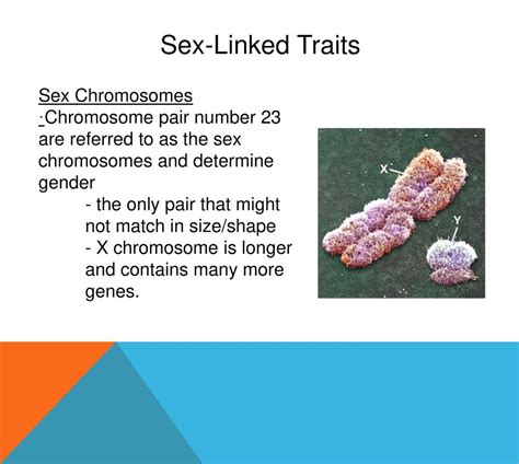 9 223 372 036 854 775 808 Brackets 9 2 Quintillion Brackets Ppt Download