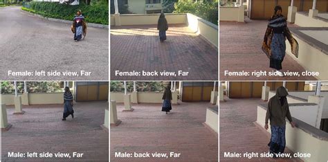figure 1 from bayesian gait based gender identification bggi network