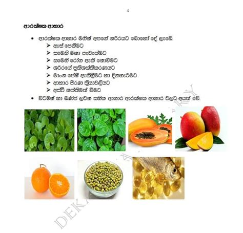 5 ශ්‍රේණිය පරිසරය ආශ්‍රිත පොඩ්ඩන්ගේ තක්සලාව Facebook