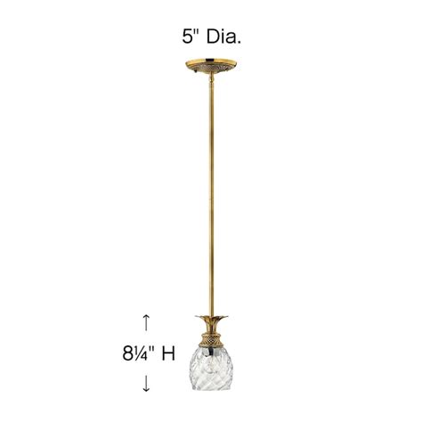 Hinkley Plantation 1 Light Burnished Brass Traditional Clear Glass