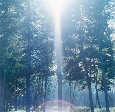 Illuminating The Everyday Rinko Kawauchi Named The 2023 Outstanding