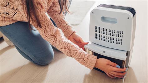 What Do Dehumidifiers Do And Are They Worth It CHOICE